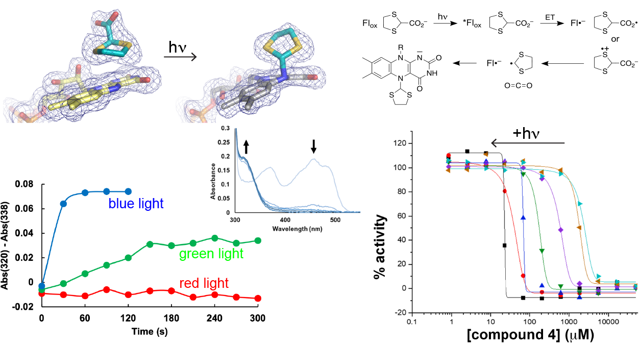 Tanner Lab // University of Missouri